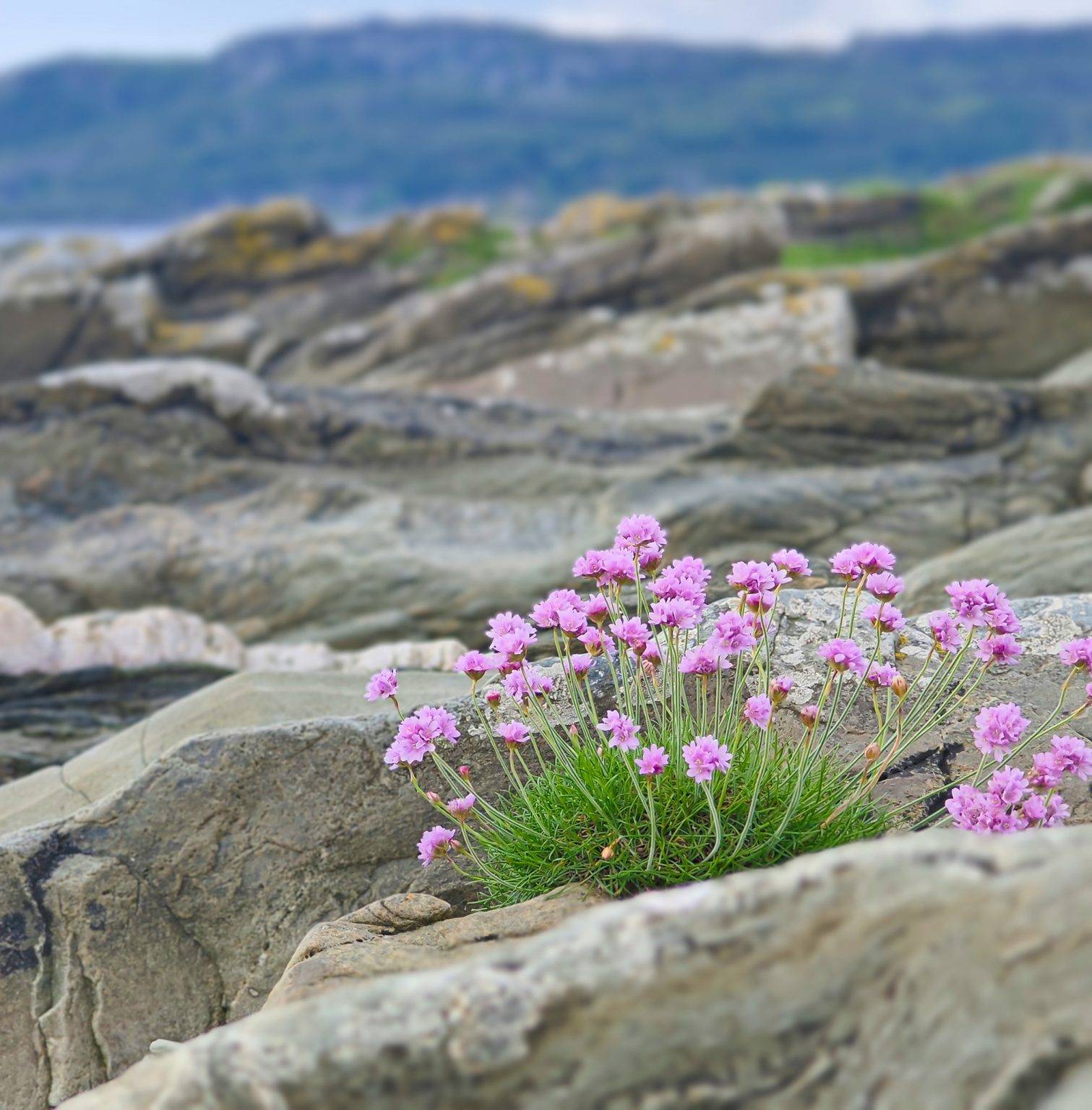Kilberry Castle Estate | Argyll, Scotland